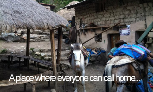 Third World Projects